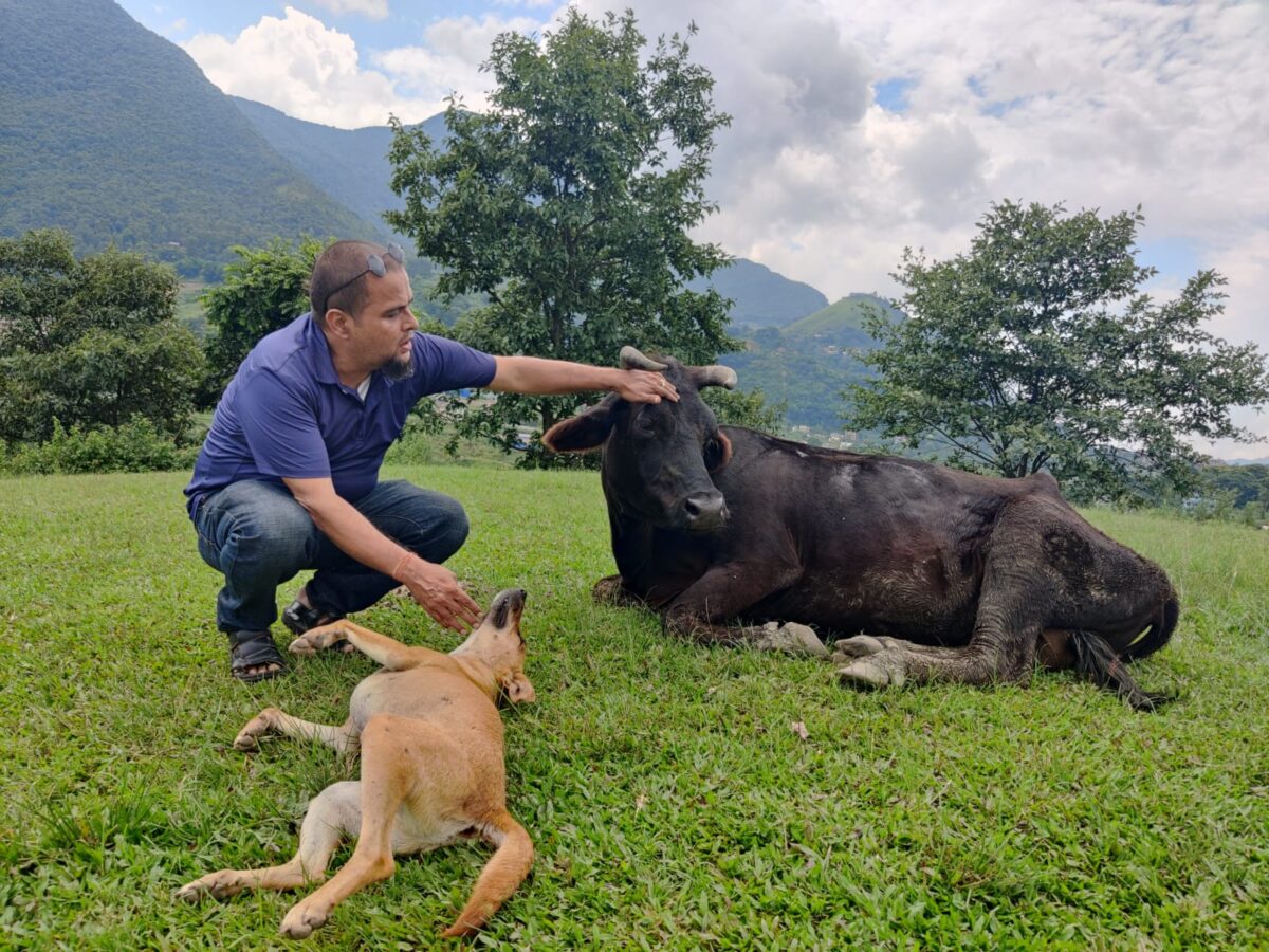 Home - Deepak Raj Joshi